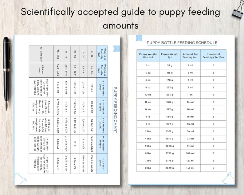 Newborn Puppy Feeding Tracker Kit: Dog Care Charts (printable PDF) - Etsy
