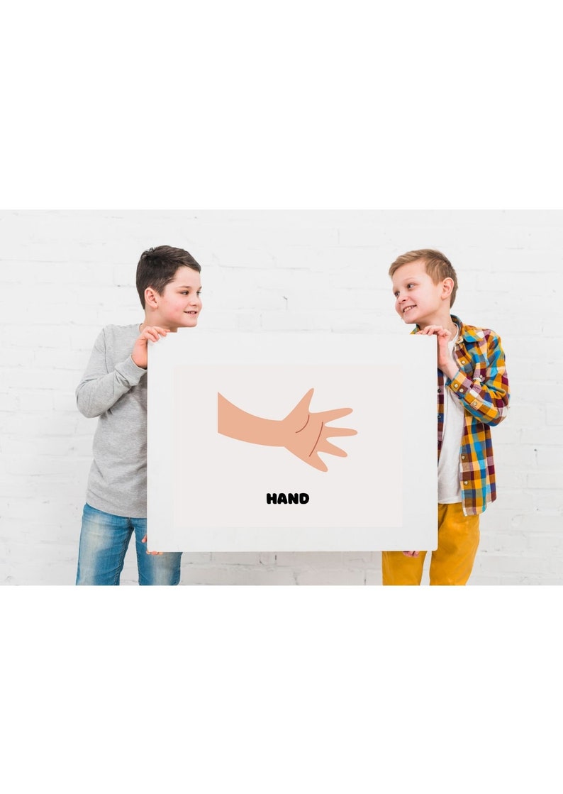 Montessori Human Body Flashcards Engaging Homeschool - Etsy UK