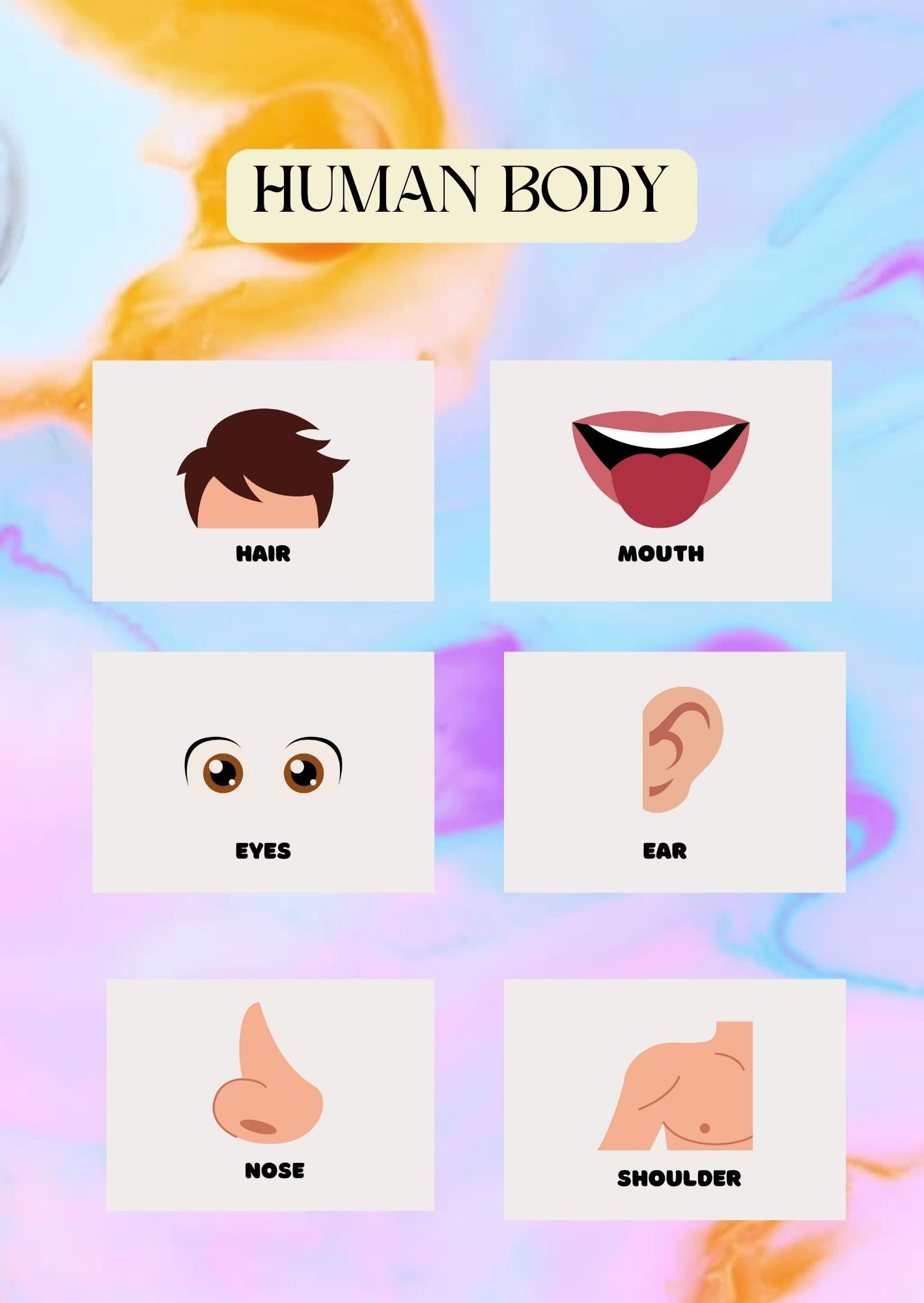 Montessori Human Body Flashcards Engaging Homeschool - Etsy UK