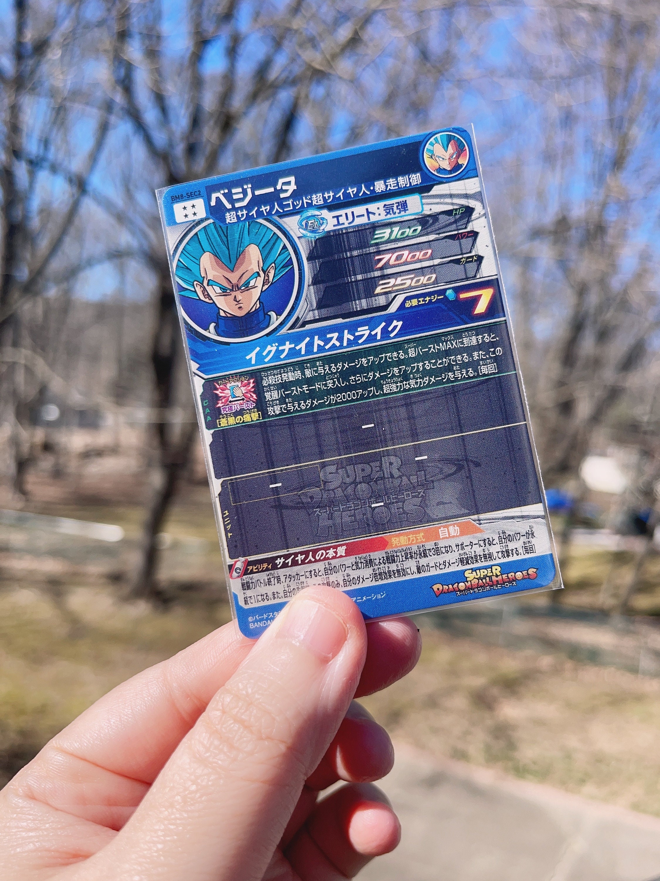 Super Dragon Ball Heroes Card Vegeta UR BM8-SEC2 EL Secret Bandai - Etsy