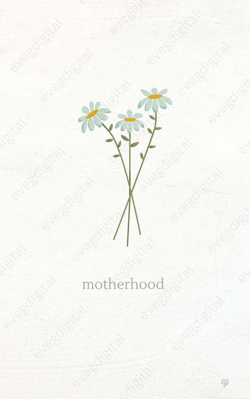 Minimalistic Daisy Flower Art Print Botanical Illustration and Its ...