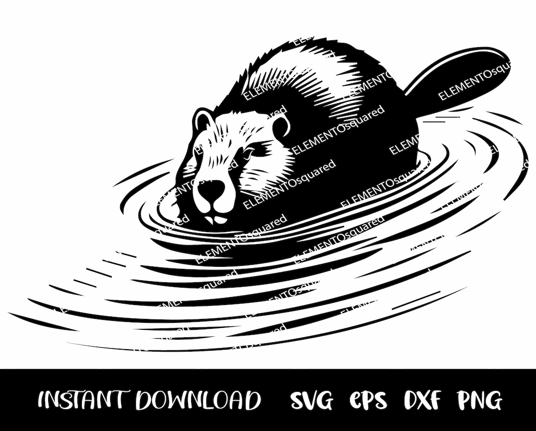 Beaver Svg, Beaver Silhouette, Beaver Cricut File, Beaver Swimming ...