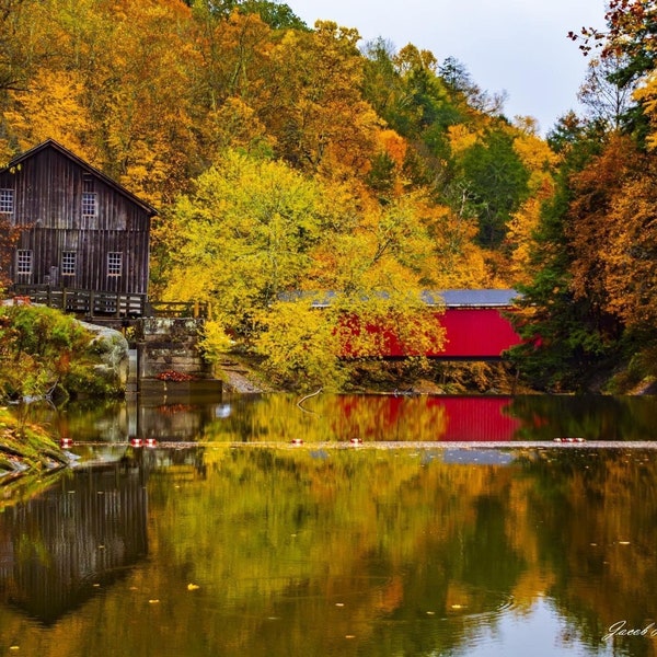 John Moreschi Gazebo With Christmas Tree at Dusk With Lamp Posts - Etsy