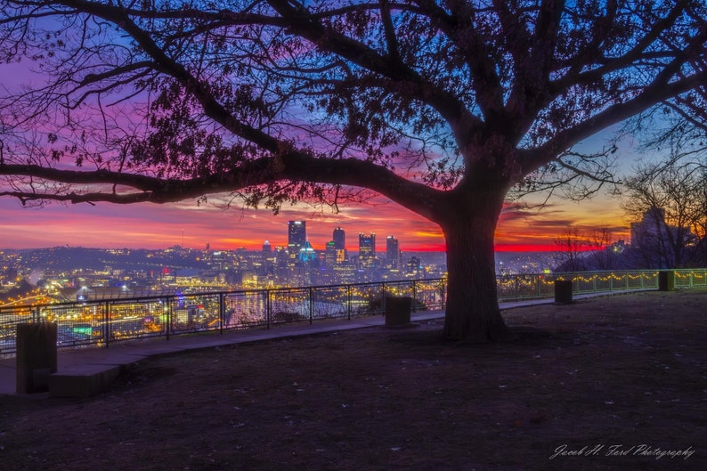 Pittsburgh Skyline Framed in Oak Tree During Vibrant Pink and Purple ...