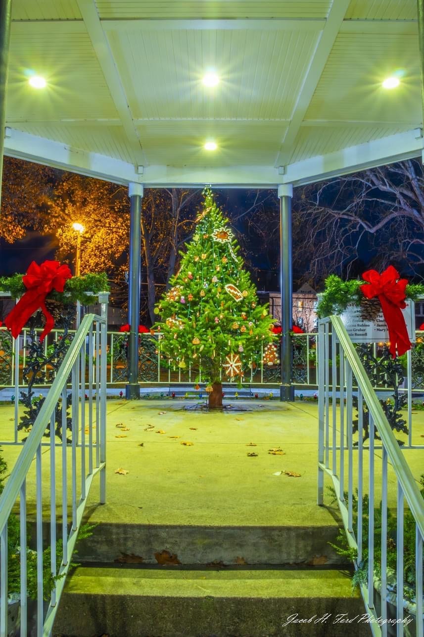 Christmas Tree Under John Moreschi Gazebo at Dusk - Etsy