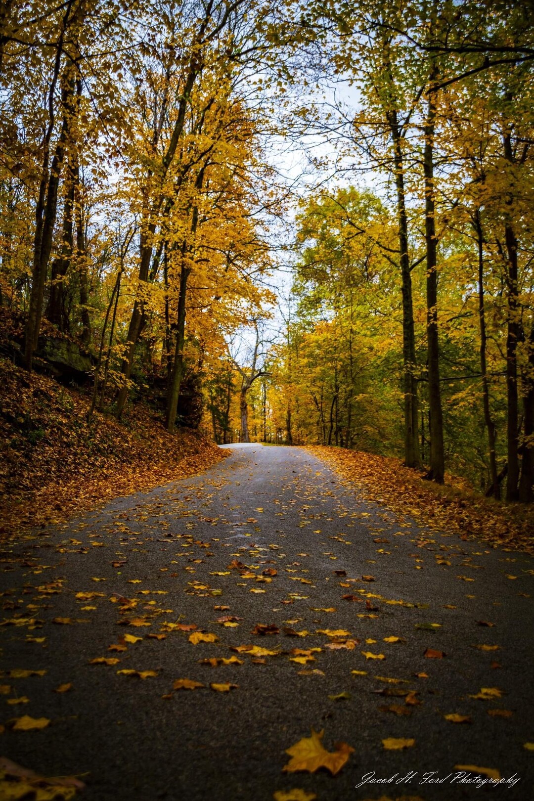Autumn Leaves at Bottom of Mansion Hill Road - Etsy