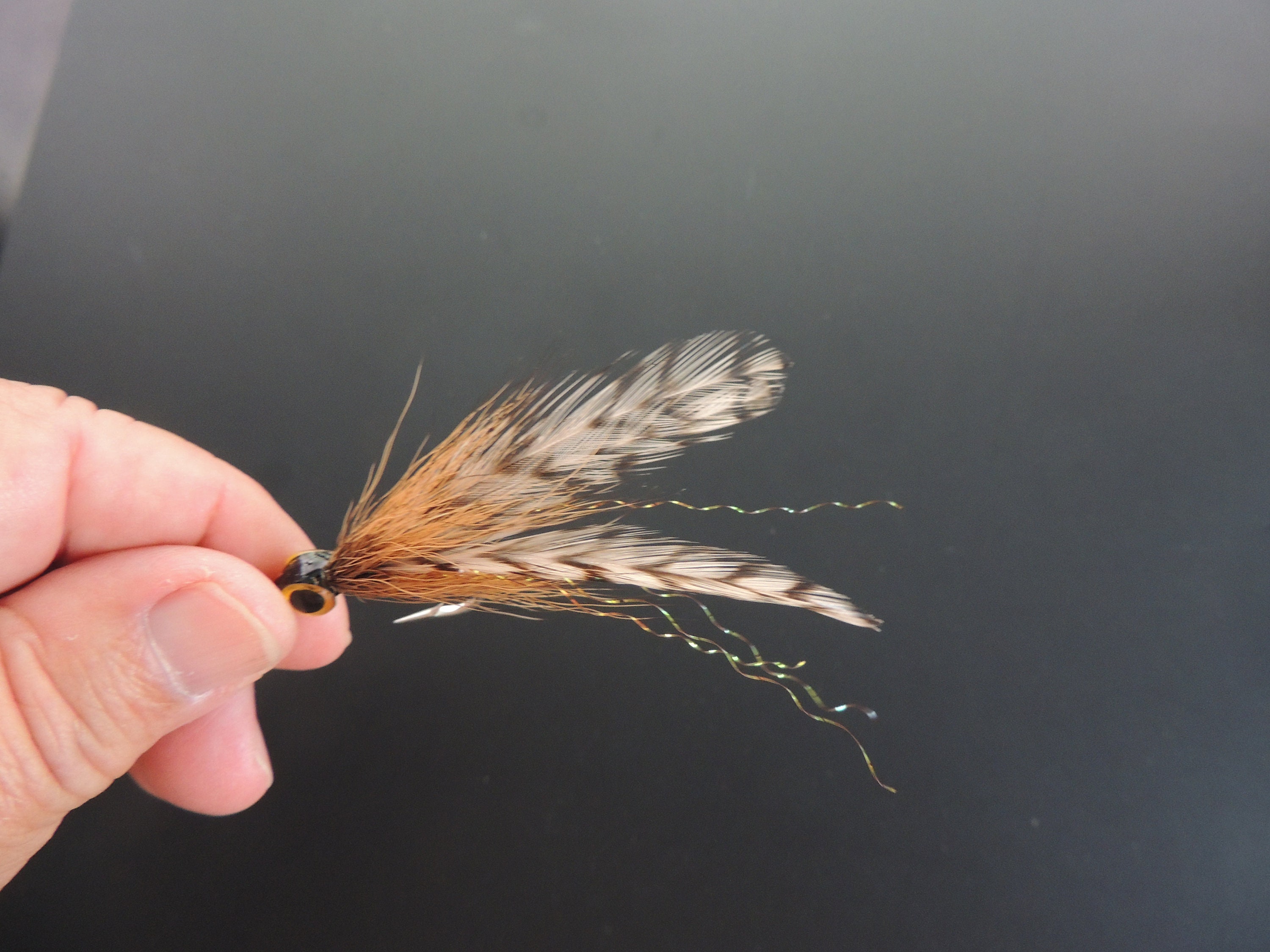 ET117 MF Grizzly Set of 3 Tarpon Cockroach Saltwater Fly Fishing ...