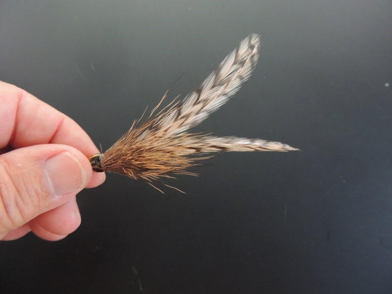 ET114 NF Grizzly Set of 3 Tarpon Cockroach Saltwater Fly Fishing ...