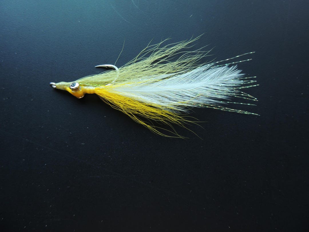 ET141 Half and Half Saltwater Fly Fishing Striped Bass Sea Trout ...