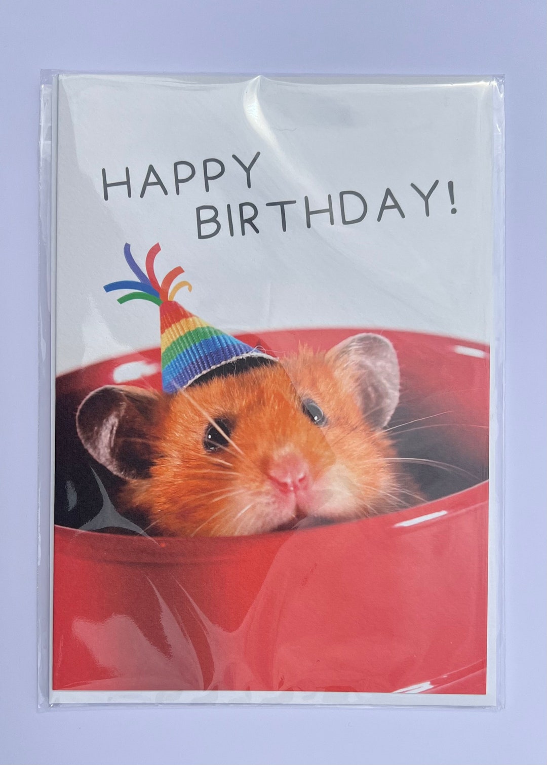 Hamster Birthday Card - Etsy