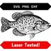 Crappie Laser Engraving Files SVG PNG DXF Realistic Detailed - Etsy