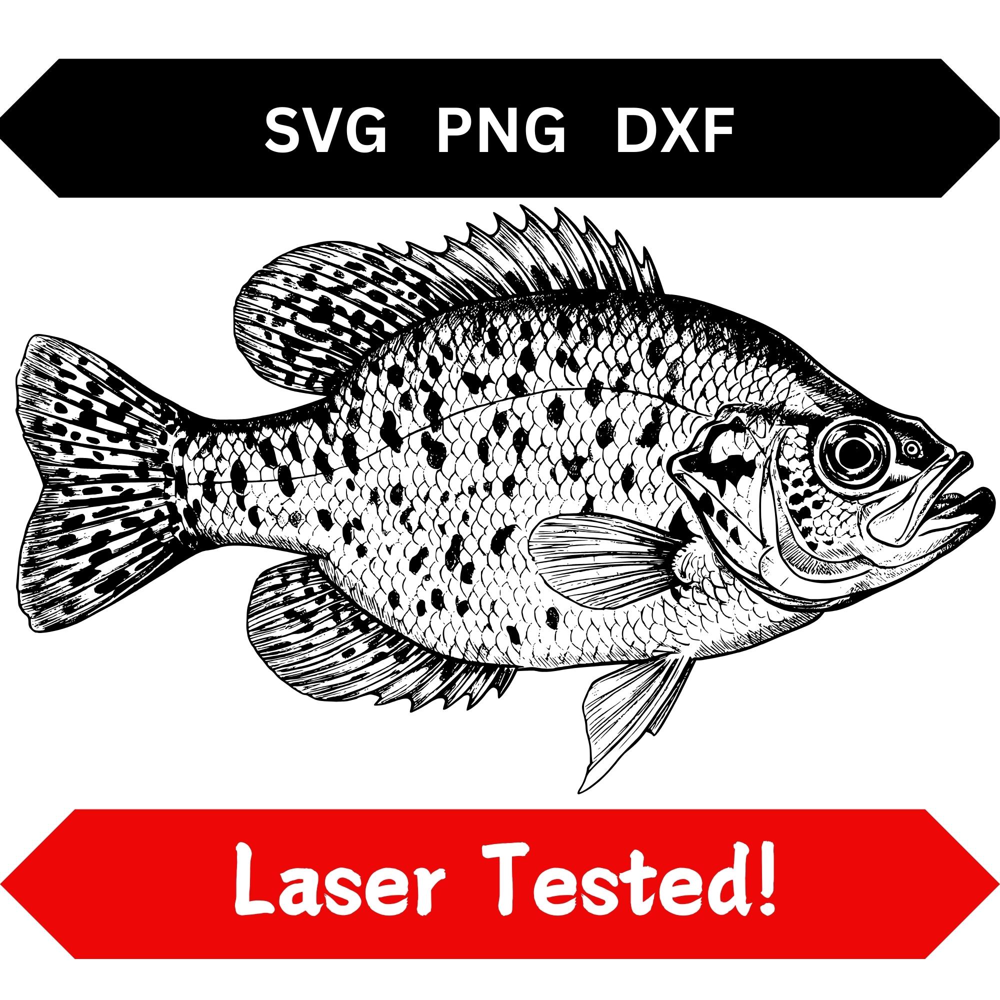 Crappie Laser Engraving Files SVG PNG DXF Realistic Detailed - Etsy