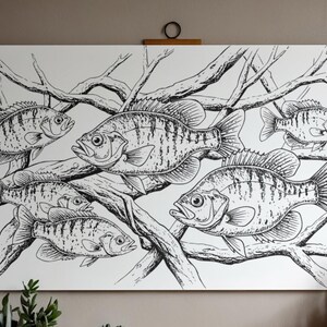 Crappie School SVG PNG DXF Realistic Detailed Fish Digital Download ...