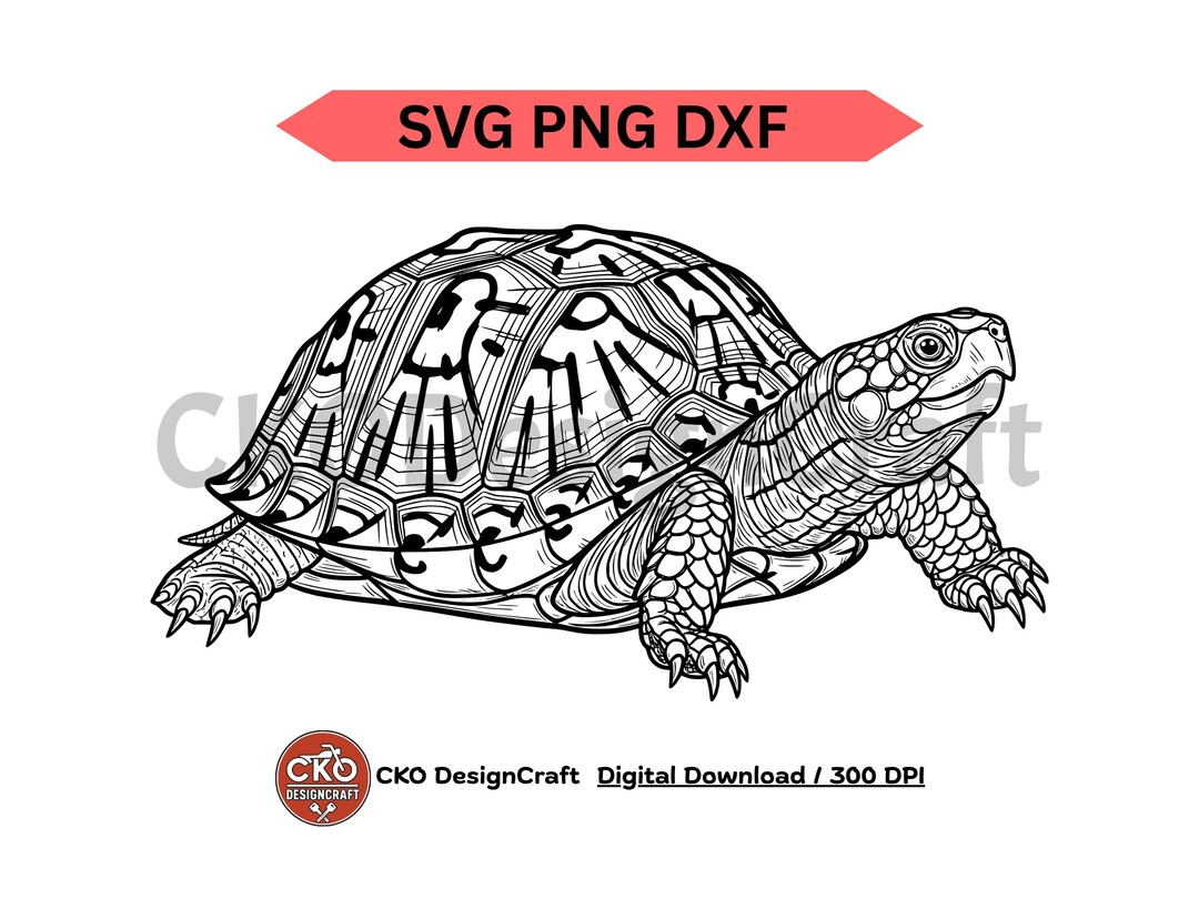 Box Turtle Svg Dxf Png Realistic Detailed Tortoise Digital Download ...