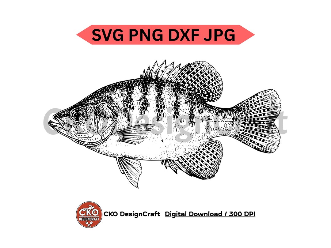 White Crappie Svg Png Dxf Jpeg Realistic Detailed Fish Digital Download ...