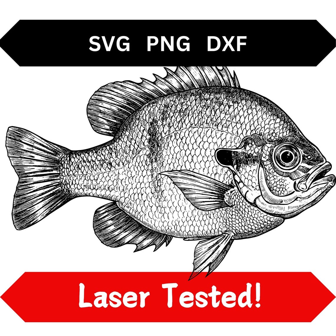 Bluegill Laser Engraving Files SVG PNG DXF Realistic Detailed Fish - Etsy