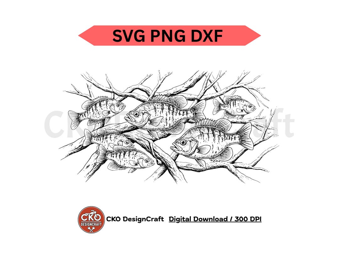 Crappie School SVG PNG DXF Realistic Detailed Fish Digital Download ...