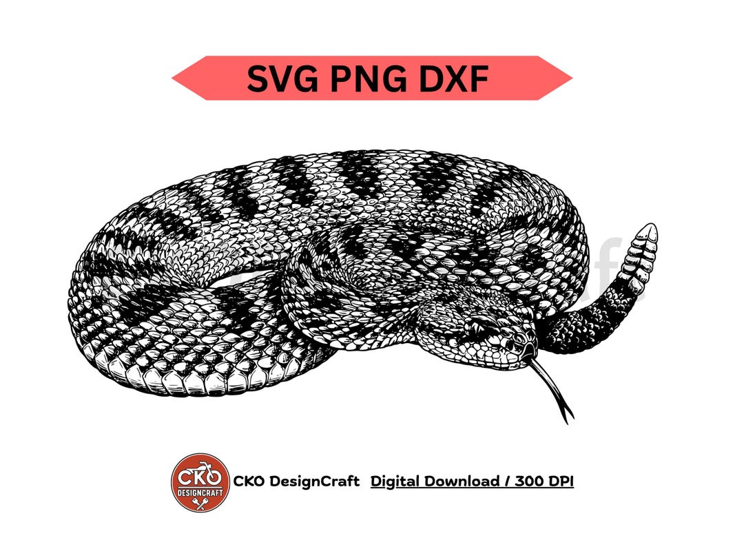 Rattlesnake Svg Dxf Png Realistic Detailed Snake Digital Download Laser ...