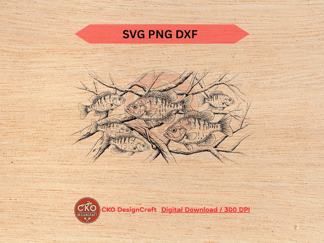 Crappie School SVG PNG DXF Realistic Detailed Fish Digital Download ...