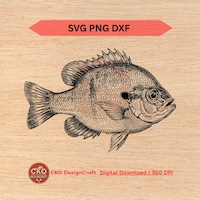 Bluegill Sunfish Fish Silhouette SVG File - Etsy