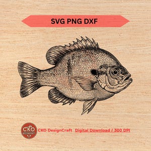 Bluegill Svg Dxf Png Realistic Detailed Sunfish Fish Digital Download ...