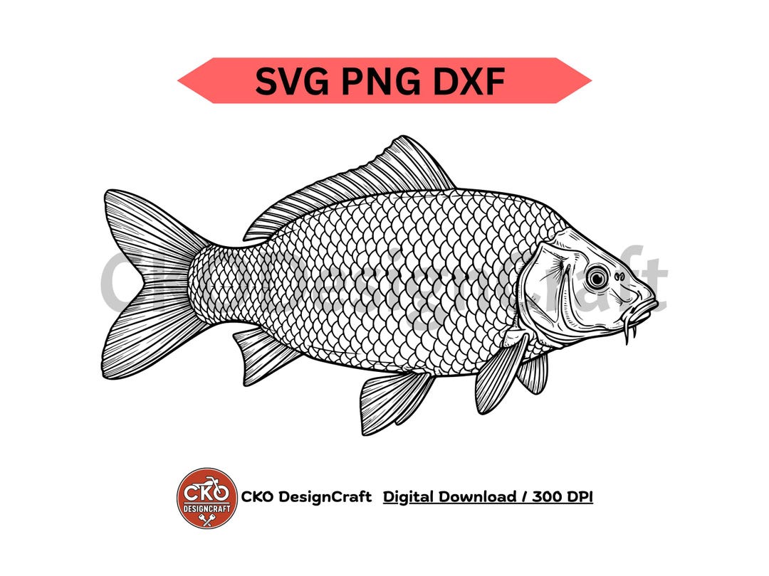 Carp Svg Dxf Png Realistic Detailed Fish Digital Download Laser Files ...