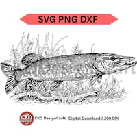 Northern Pike Scene Svg Png Dxf Eps Pdf | Transparent Vector Graphic ...