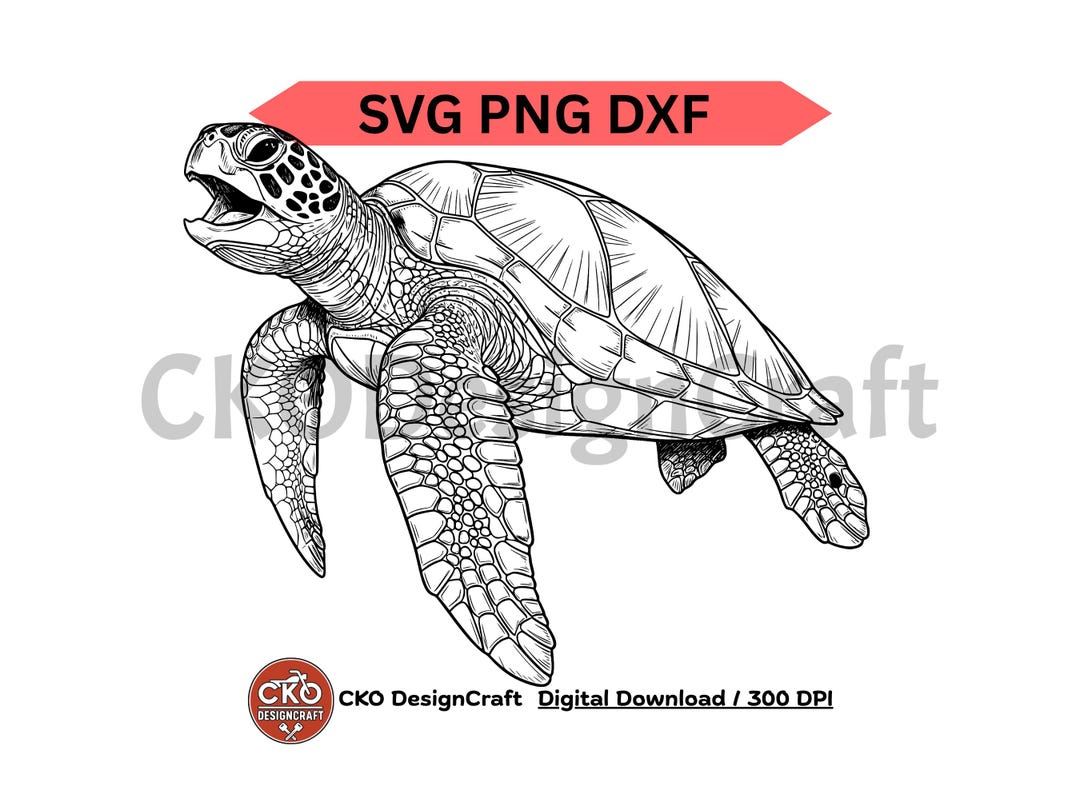 Sea Turtle Svg Dxf Png Realistic Detailed Green Tortoise Digital ...