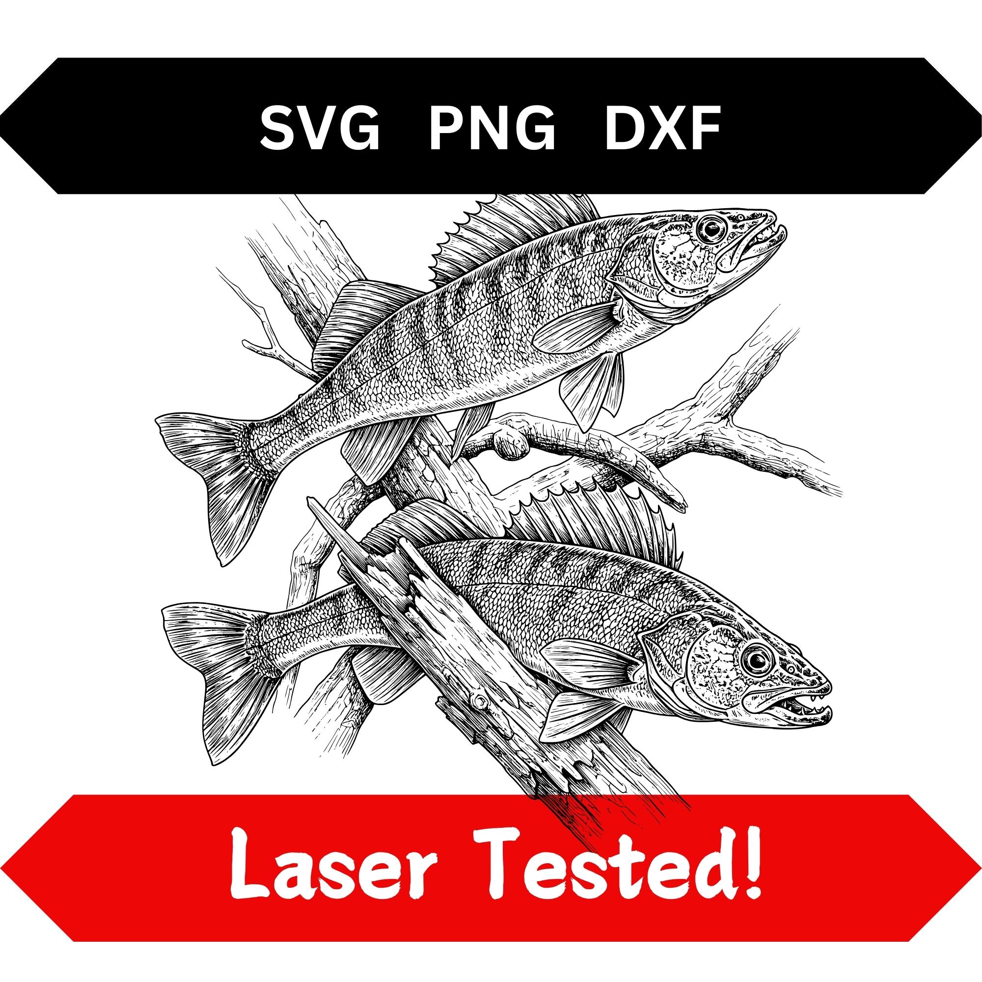 Walleye Laser Engraving Files SVG PNG DXF Realistic Detailed Fishing ...