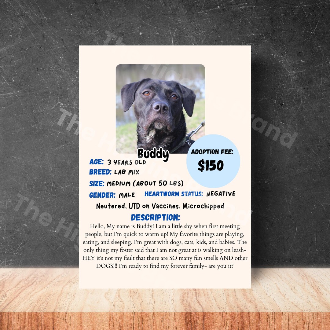 Editable Adoption Event Flyer Template, Customizable Canva Design for ...