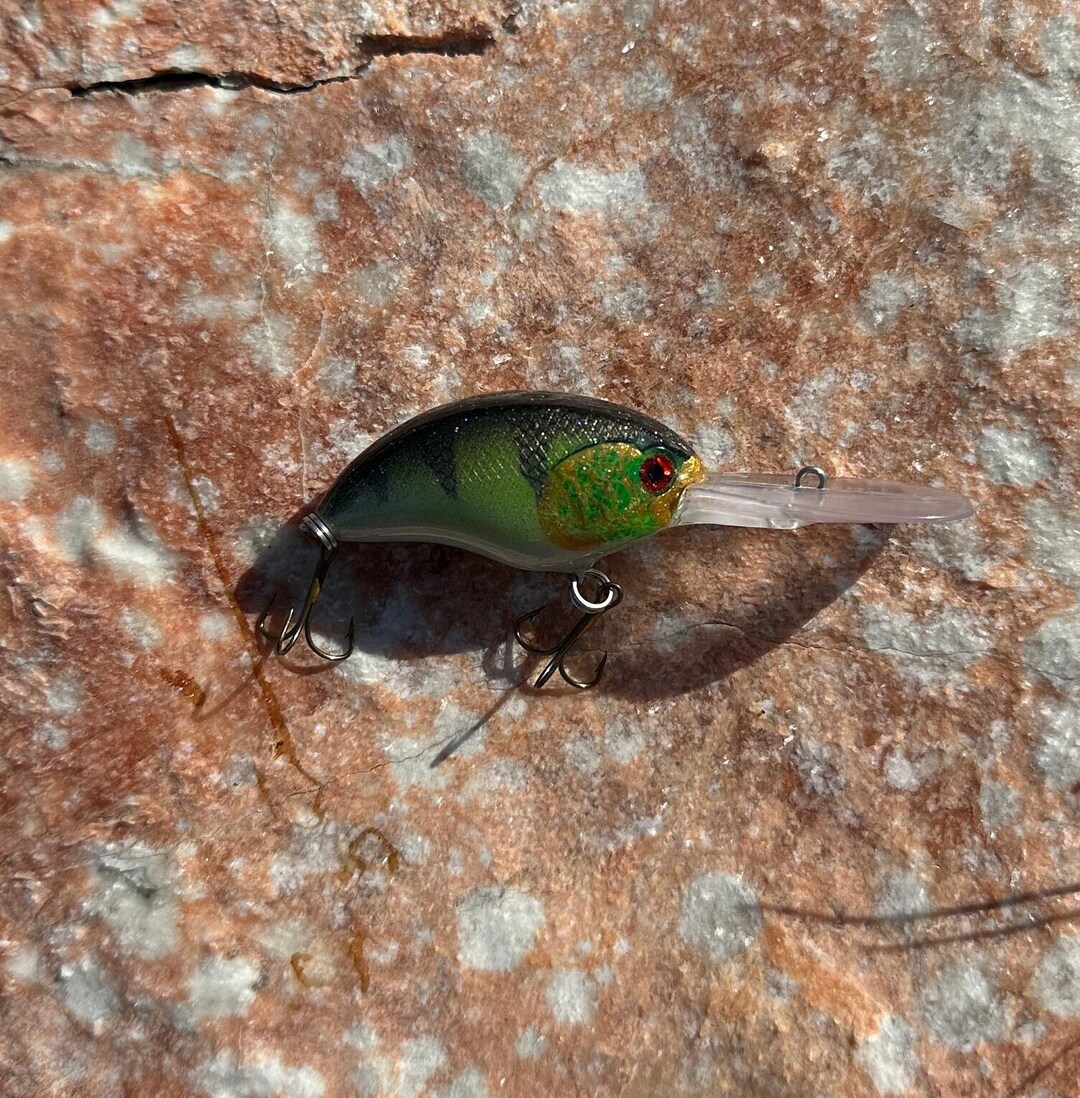 Custom Painted Perch Pattern Deep Diving Crankbait - Etsy