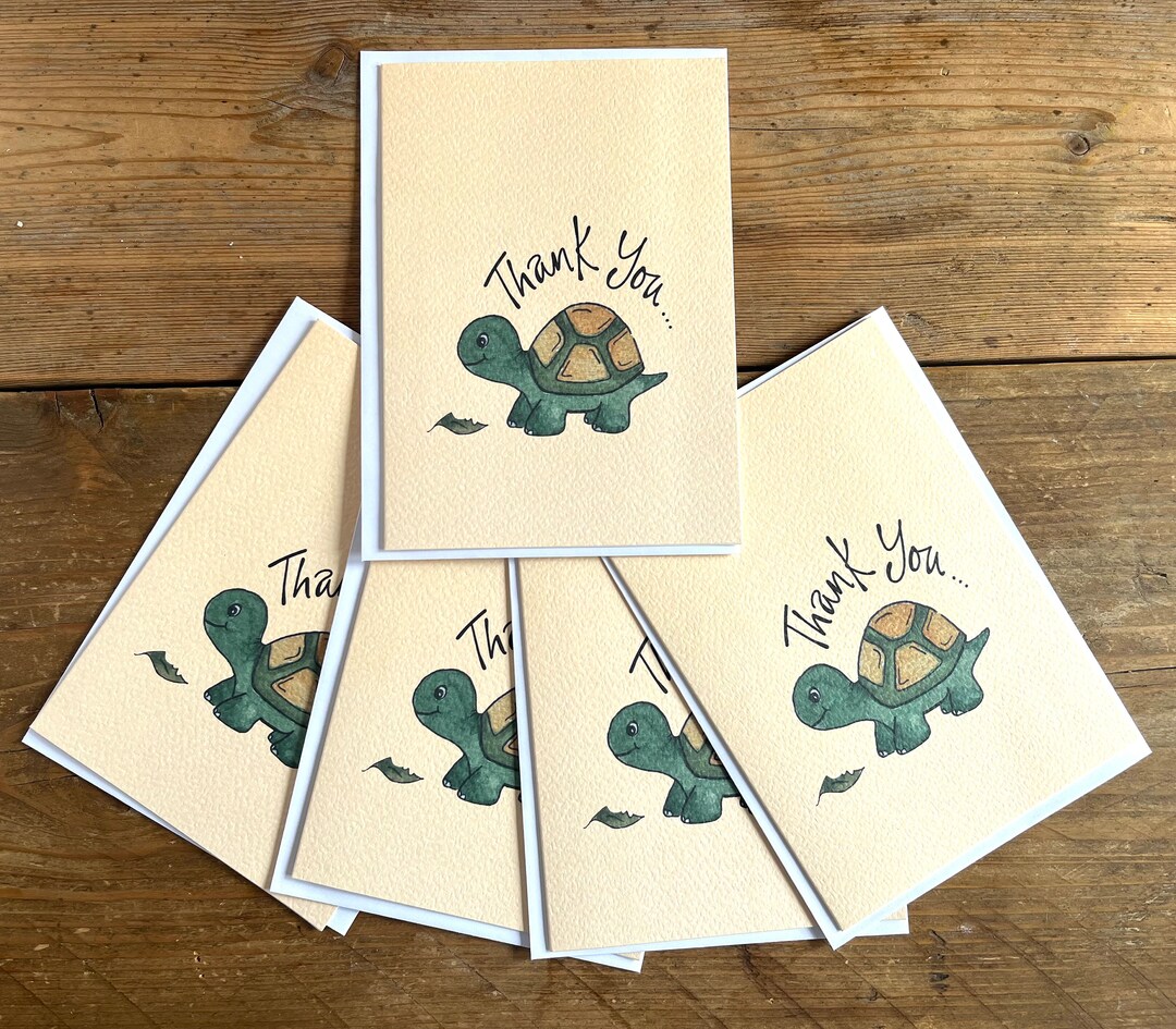 Turtle Thank You Cards- Pack of 5- Notecards- Zebra Design . Perfect ...