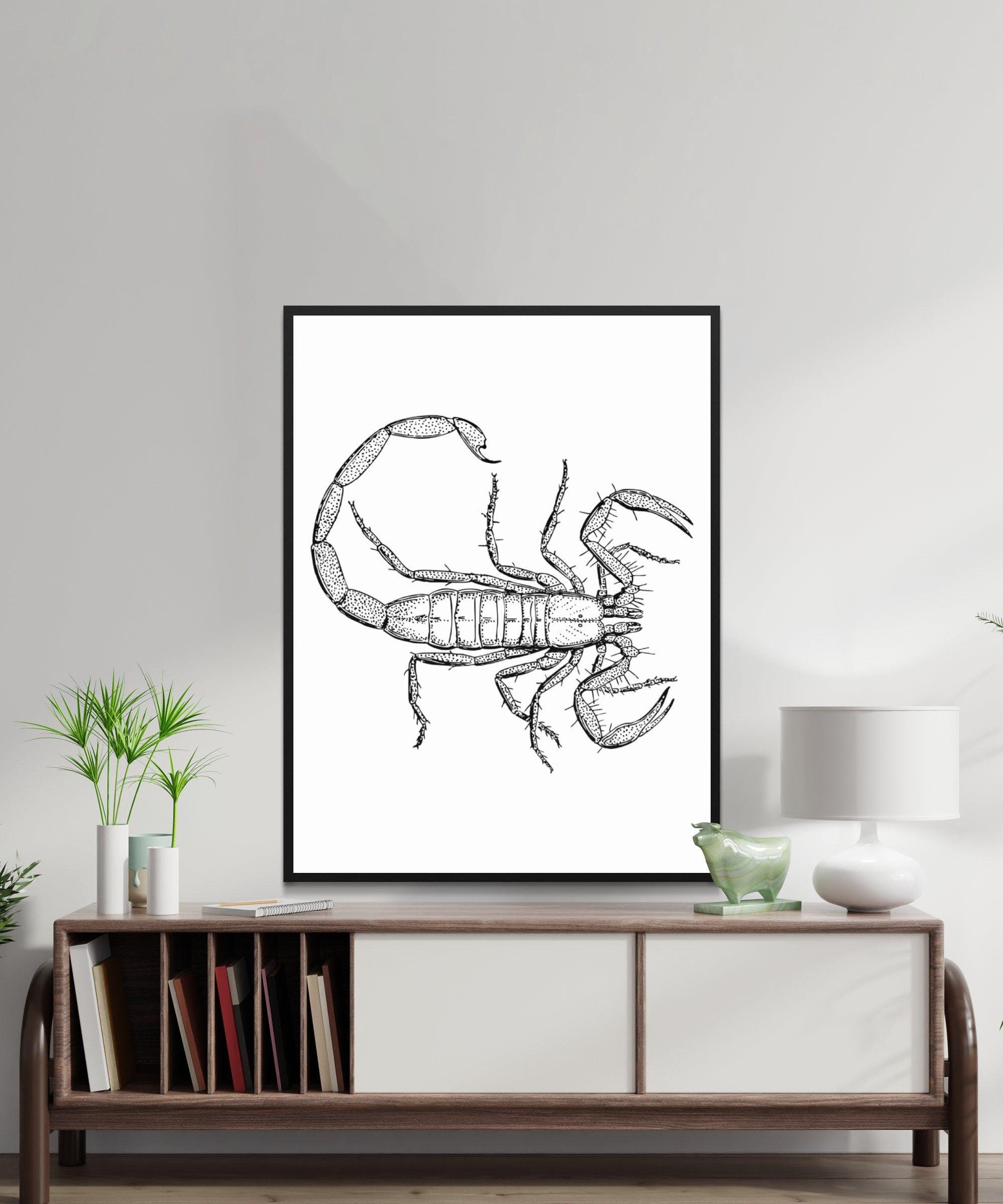 Vintage Scorpion Vector Illustration | Scorpion, Vector, Vintage ...