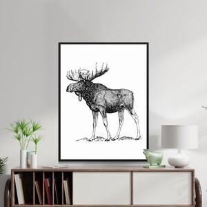 Vintage Moose Vector Illustration | Moose, Vector, Vintage, Forest ...