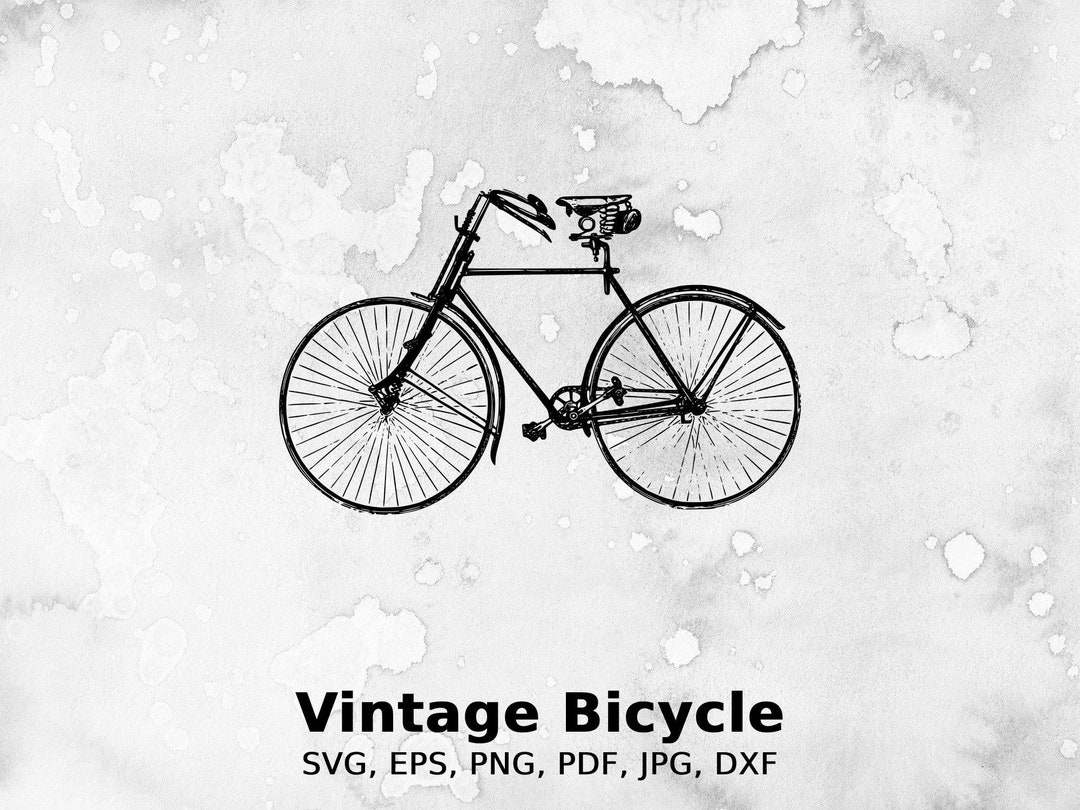 Vintage Bicycle Vector Illustration | Bicycle, Vector, Bike, Vintage ...