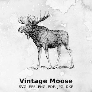Vintage Moose Vector Illustration | Moose, Vector, Vintage, Forest ...