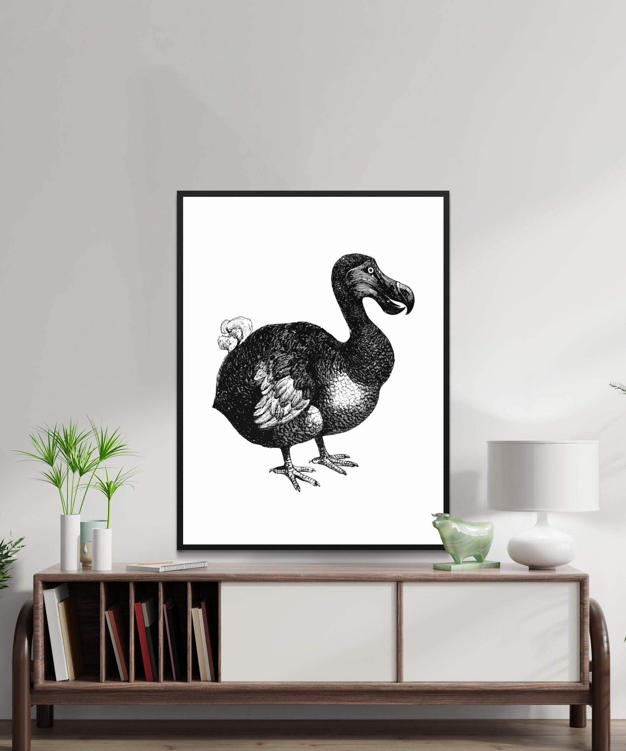 Vintage Dodo Vector Illustration | Bird, Dodo, Extinct, Animal ...