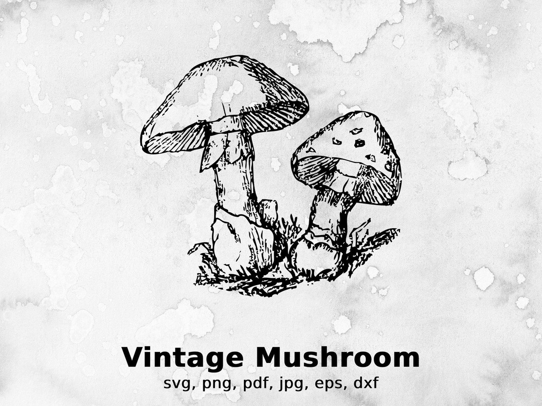 Vintage Mushroom Vector Illustration | Retro Graphic (digital Download ...