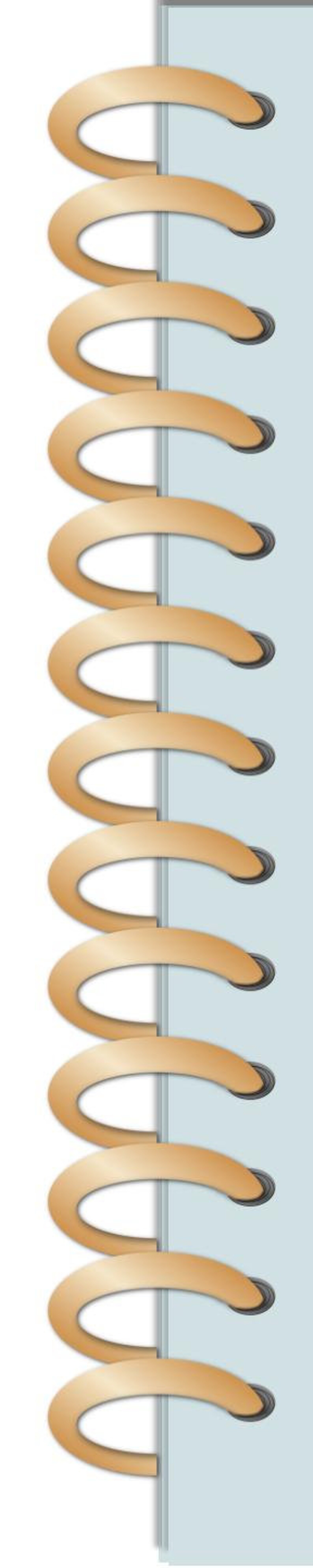 COILS - SPIRAL for Digital Planners | DIY Planner, Calendar, Journal ...