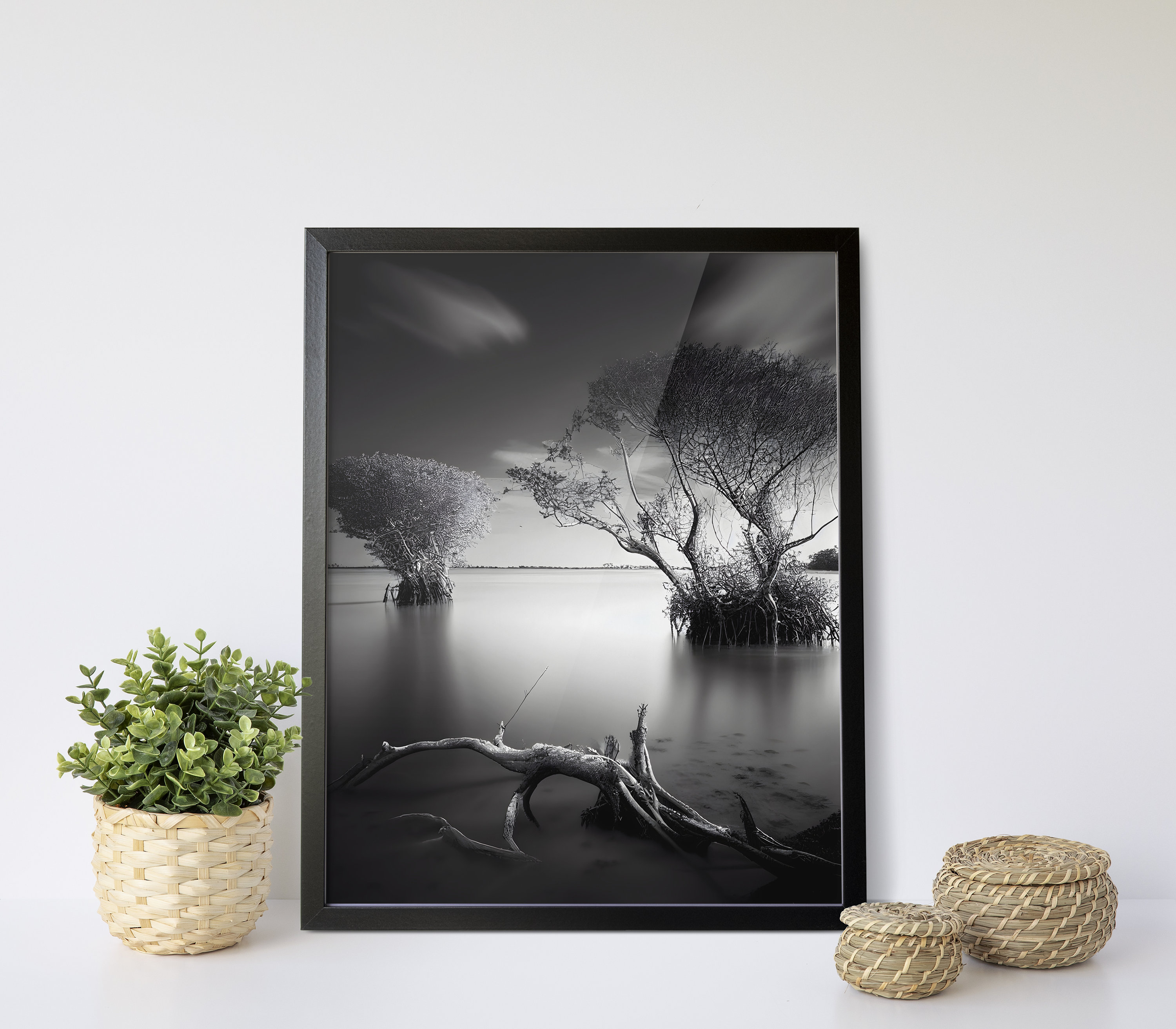 Mangroves Photography Black and White Art Print, Printable Wall Art ...