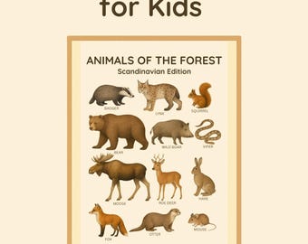 Woodland Nature Poster for Kids – Scandinavian Educational Wall Art ...