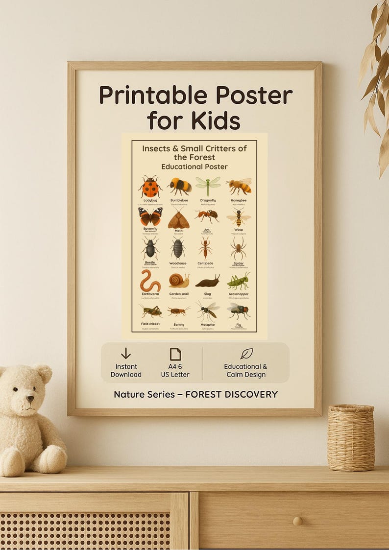 Ultimate Insect & Critters Learning Kit – Spring Nature Activities for ...