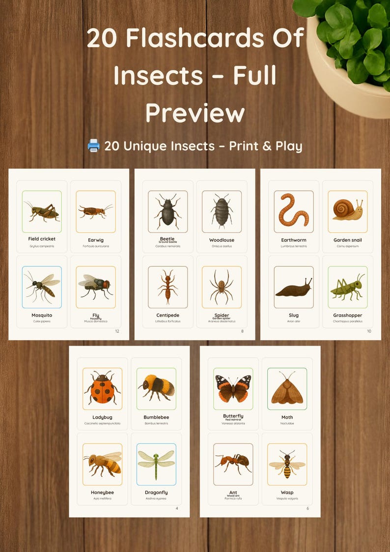 Ultimate Insect & Critters Learning Kit – Spring Nature Activities for ...