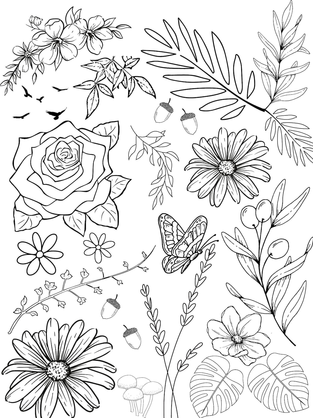 Nature Coloring Sheet - Etsy