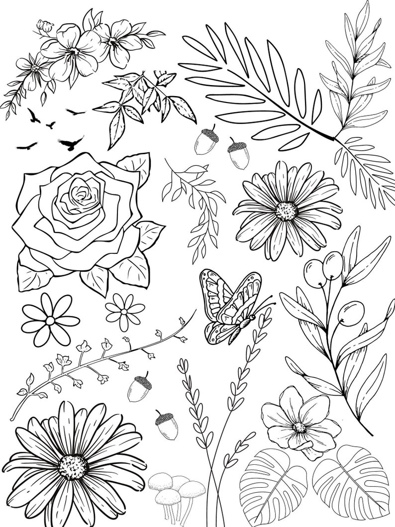 Nature Coloring Sheet - Etsy