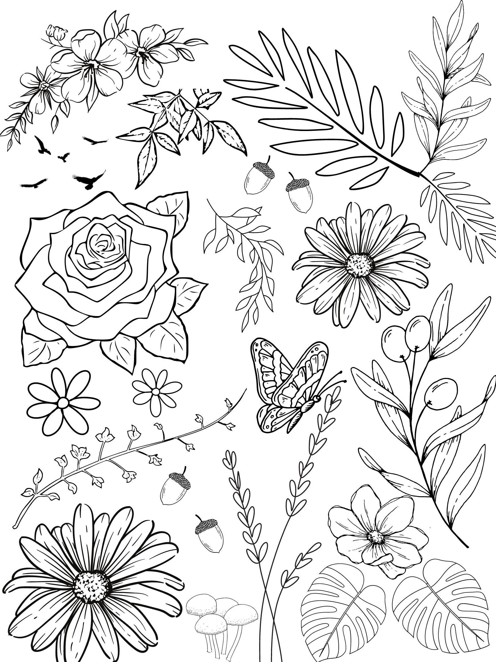 Nature Coloring Sheet - Etsy