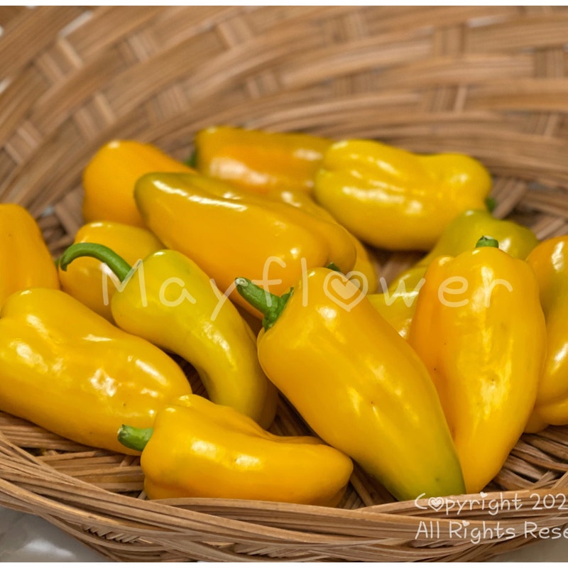 Yellow Snack Box - Etsy