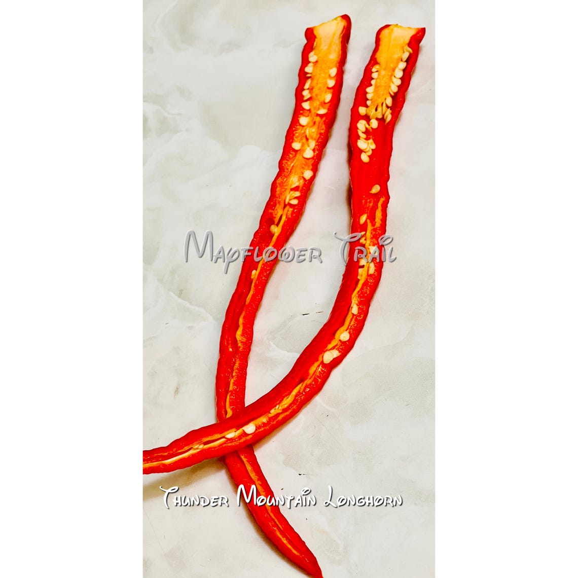 Thunder Mountain Longhorn Pepper Seeds: Organic, 12+ Non-gmo - Etsy