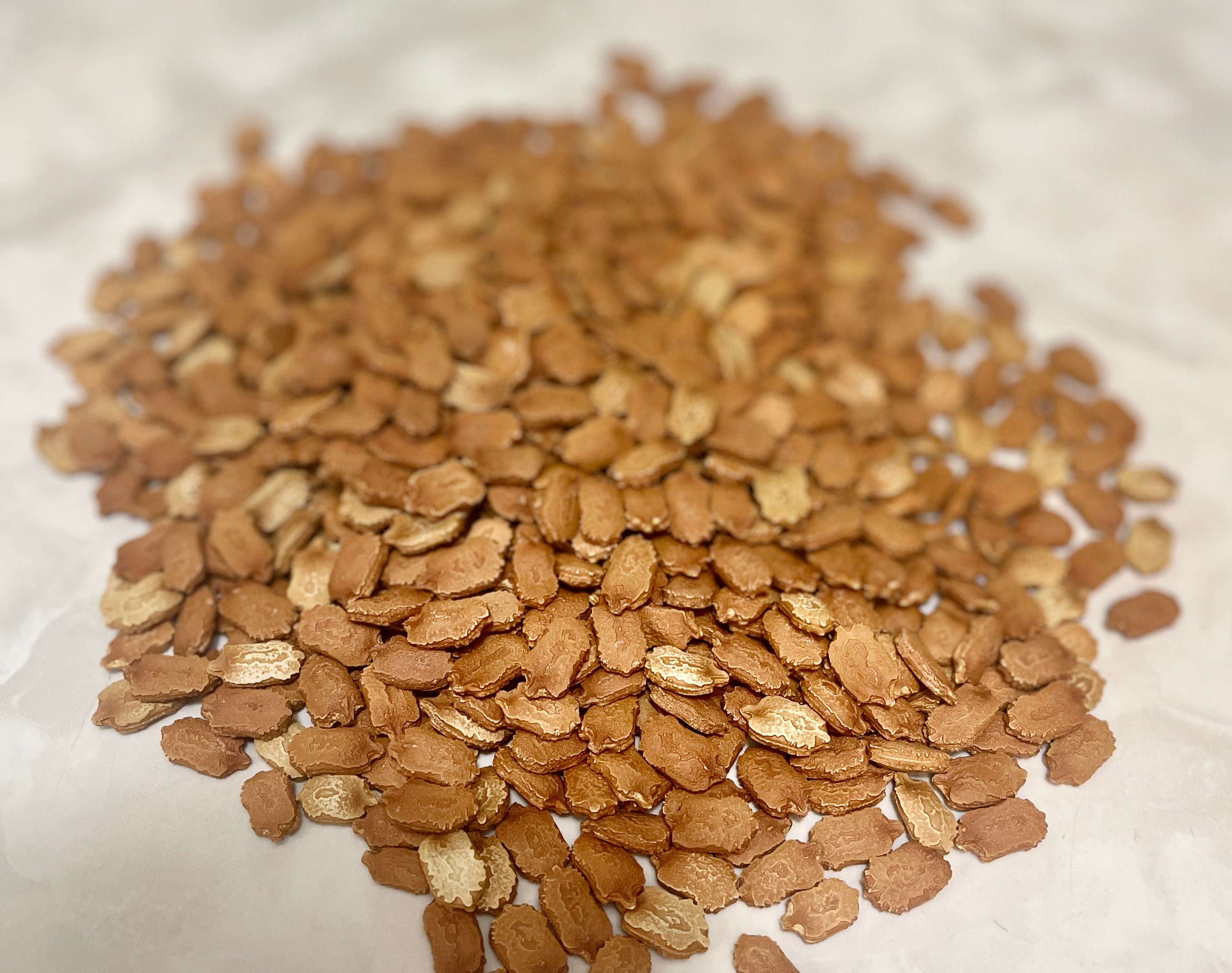 Bitter Melon 10 Seeds. Vegetable Gourds. Trailing Plant Garden. Organic ...