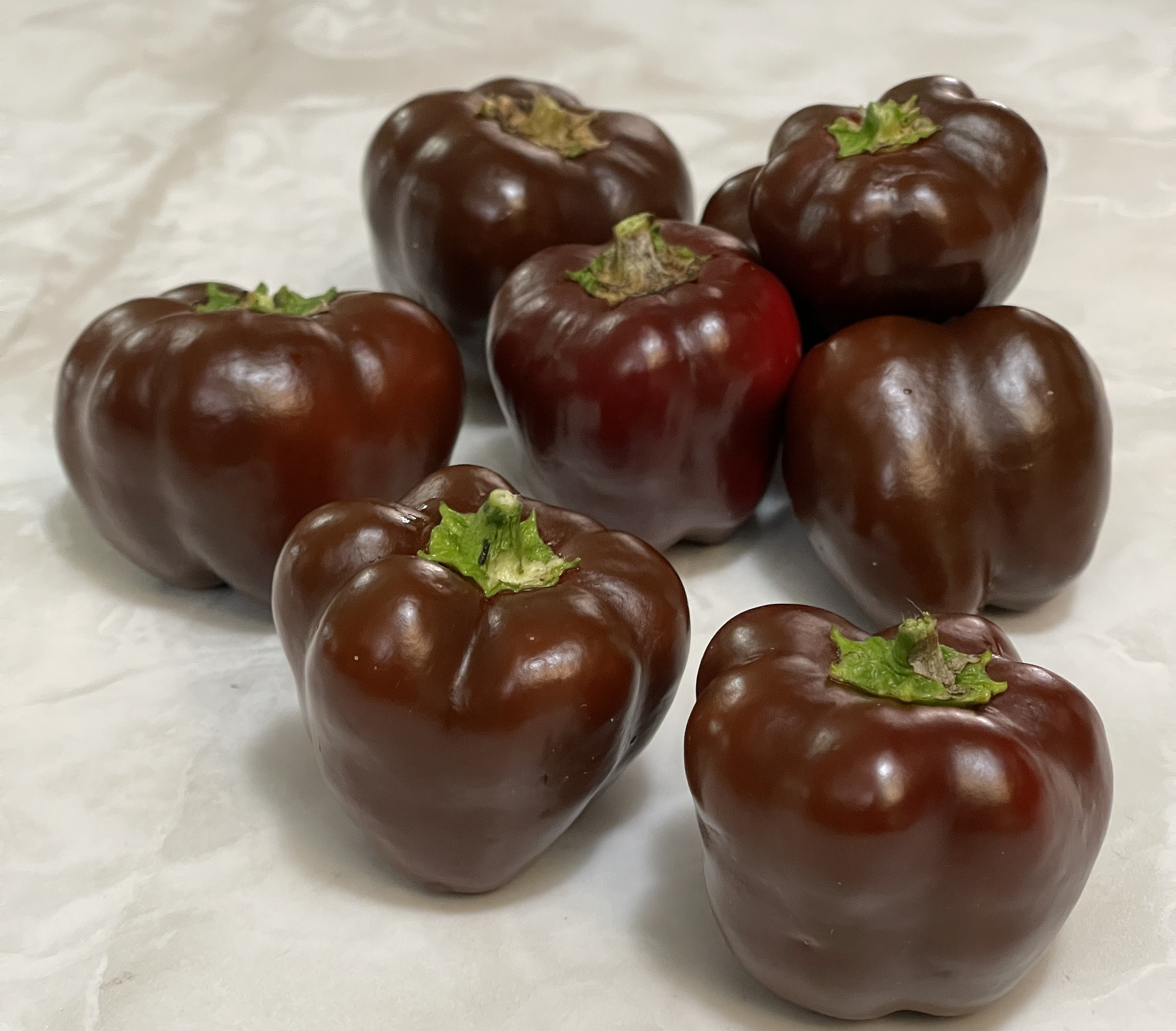 Sweet Chocolate Mini Bell Pepper Seeds. Great for Snacking and Such ...